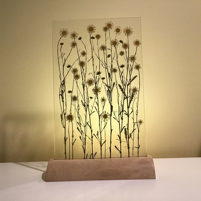 Wedding Gifts for Couple Lamp Modern Daisies LED Epoxy Resin Lamps for ...