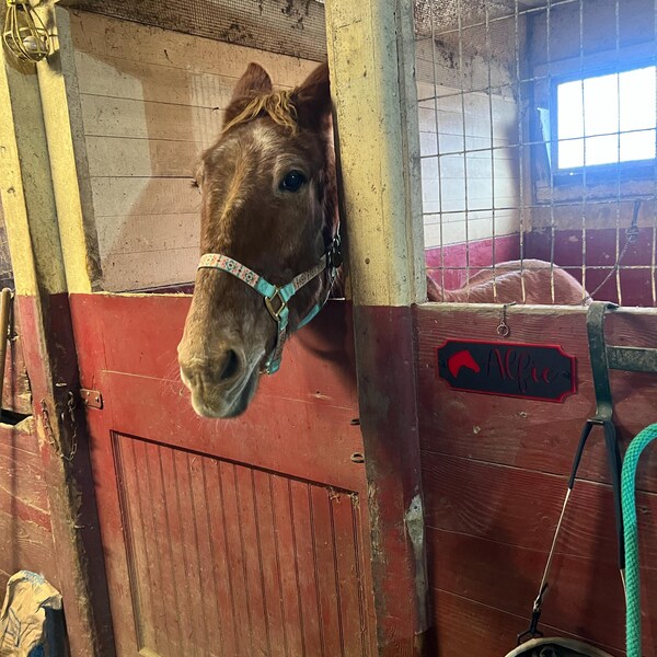 Stable Name Plate / Plaque Cut Out Traditional W/modern Twist Design ...