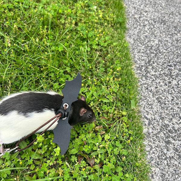 Bat Wings Harness Pet Leash Collar Set Halloween Costume/gifts-syrain ...
