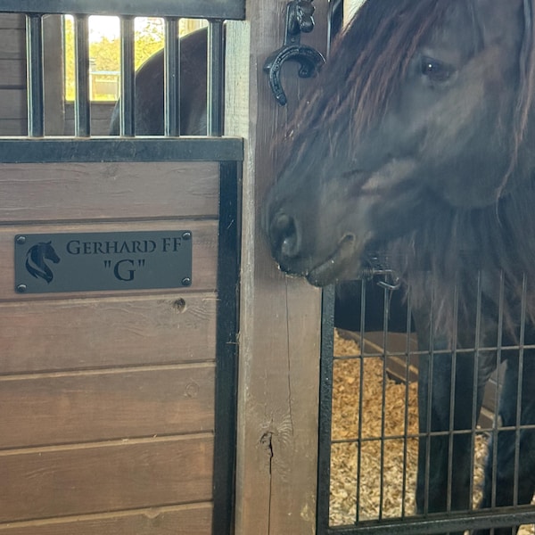 Horse Stable Name Sign, Classy New Laser Cut Design Matt Black With ...