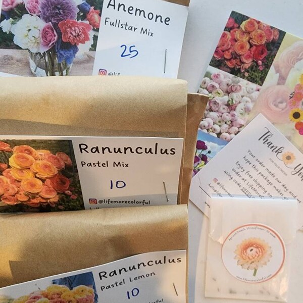 Amandine Pastel Lemon Ranunculus Corms - Etsy