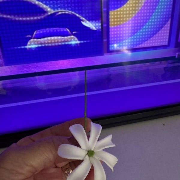 Tiare Foam Flower, Ear Flower, Hair Pick / Adult Size 2.5" Kid's Size 1 ...