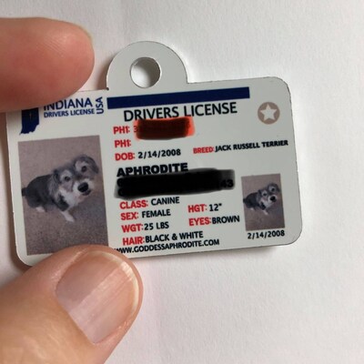 20 Pcs License Plate Rectangle Double-sided Dog Bone Pet ID Tag ...