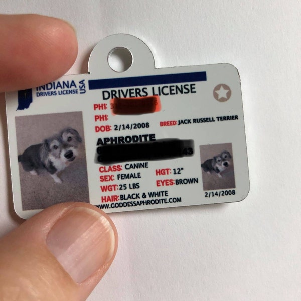 20 Pcs! License Plate Rectangle Double-sided Dog Bone Pet ID Tag ...