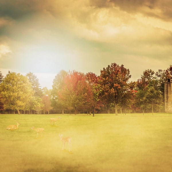 20 PNG Buildings Skyscraper Overlays With Transparent Backgrounds ...