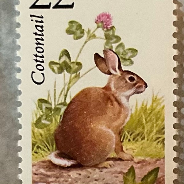 One 1 Vintage Unused Postage Stamps - North American Wildlife ...
