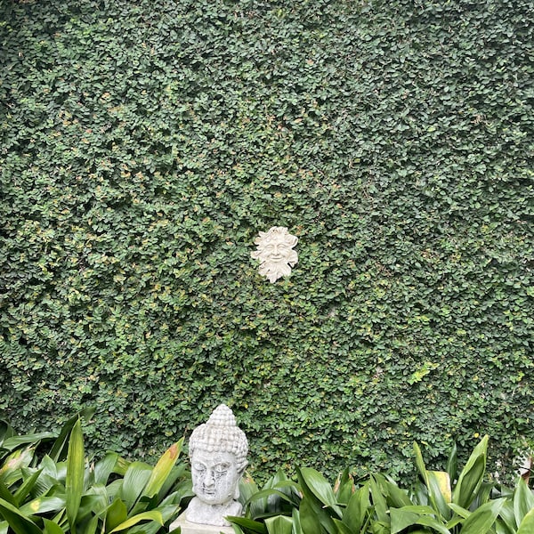 Greek Art Athena Wall Sculpture Home Decor Plaque Roman - Etsy