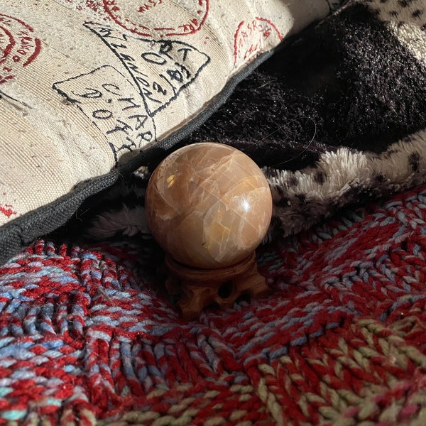 Awesome Jasper T-rex Skull, With the Coolest Patterns - Etsy