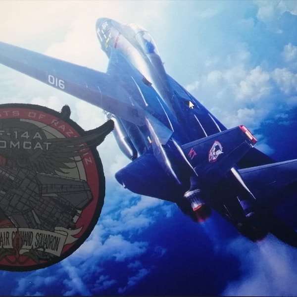Ace Combat 5: the Unsung War, F-14A Aircraft, Razgriz Command Squadron ...