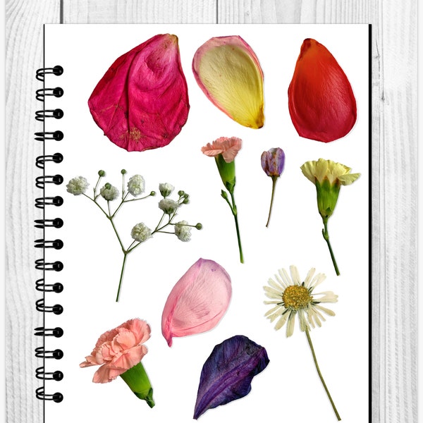 The Blooms DIGITAL Planner Stickers.11 Realistic Flowers Clipart for ...