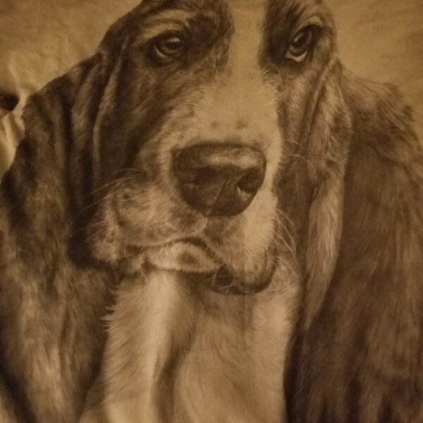 Corvette C6 Grand Sport Model Year Paint Colors Digirods Cartoon Car ...