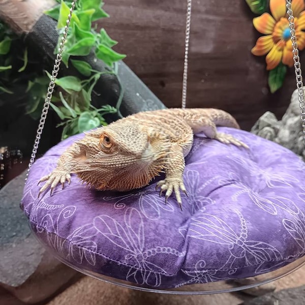 Bearded Dragon Lizard Pillow Swing; Papasan Style, Multiple Sizes ...