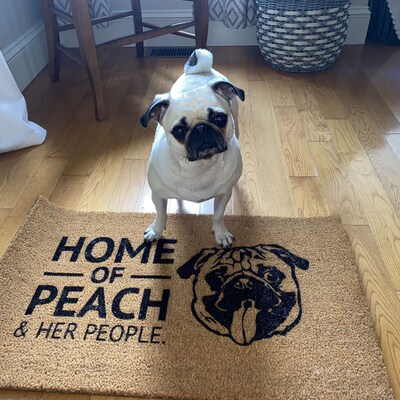 Pug & His People Dog Doormat Rug, Funny Doormat, Custom Door Mat ...