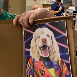 80s School Portrait, Pet Portrait, Custom Pet Portrait, Funny Pet ...