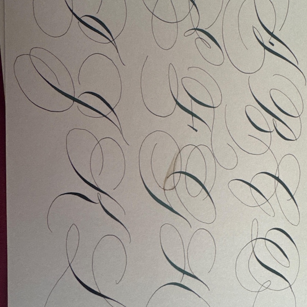 The Enchanted World of Calligraphy Flourishing Workbook - Etsy