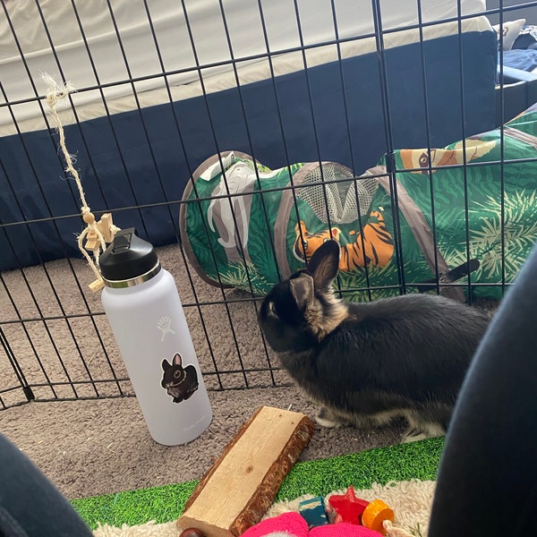 Black Tan Netherland Dwarf Bunny Sticker Printed Chibi Rabbit Vinyl ...