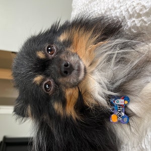 Seashell Dog Tags Custom Pet ID Tags Resin Dog Tags - Etsy