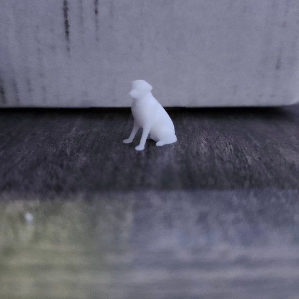 1:48 Scale Pool Float 1 Kit Dollhouse Miniature O Scale / Gauge 3D ...