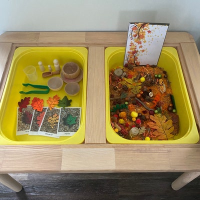 Fall Themed Sensory Bin - Etsy