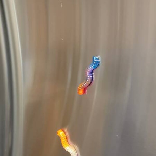 Sting Ray Magnet Set, Quirky Magents, Refrigerator Magnets, Funky ...