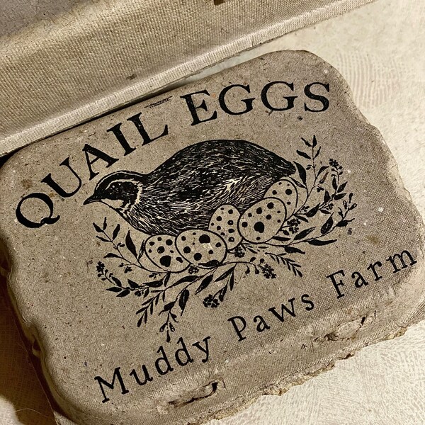 QUAIL Egg Carton Stamp | Coturnix Quail Nesting Hen | Hand Drawn ...