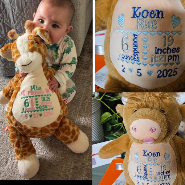 Personalized Embroidered Birth Stat Stuffed Animal – Custom Baby Gift ...