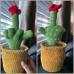 Cactus Hand CROCHET PATTERN / Amigurumi Cactus PDF English - Etsy Canada