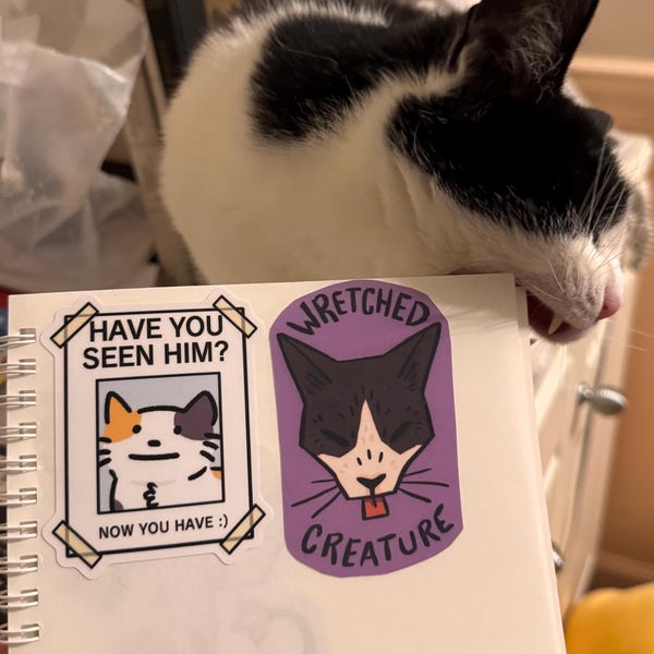 Reusable Sticker Book - 8x6" - 100 Pages - 50 Sheets - Etsy