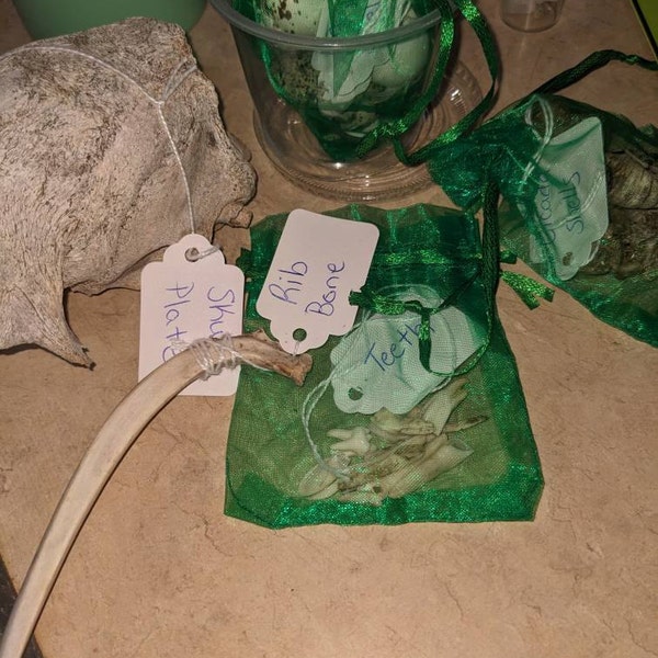 Small Oddities Mystery Box - Etsy