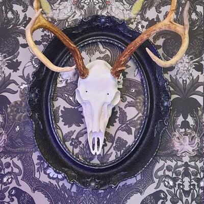 Skull Wall Frame Gothic Wall Frame Bloody Black Frame Blood - Etsy