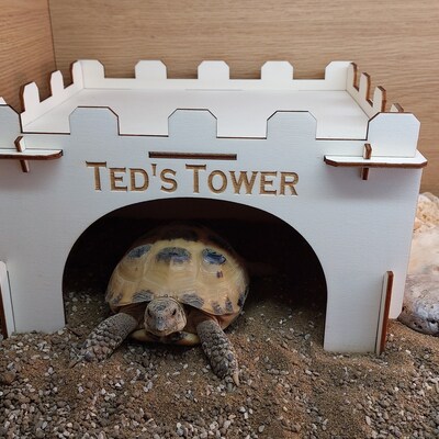 Personalised Tortoise House. - Etsy UK