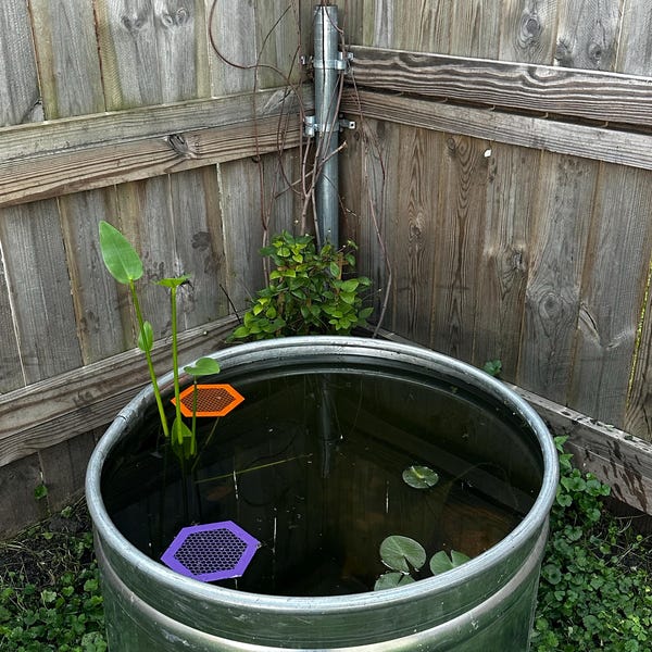 Monarch Butterfly Raising Kit- Butterfly Raising Kit, Milkweed Floral ...