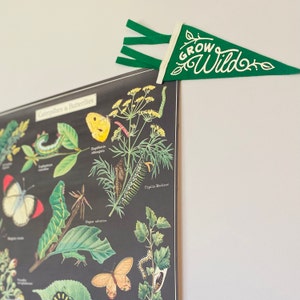 Keep Rolling Sticker - Etsy