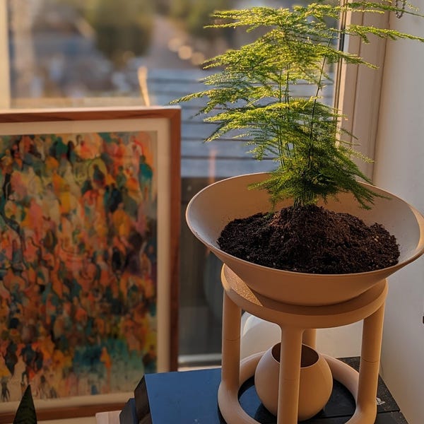 The FUNNEL Planter With Stand and Water Catch for Indoor House Plants ...