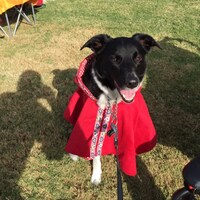 Soul Cloth Dress Hand Stitches Vintage Embroidery Linen Birds - Etsy