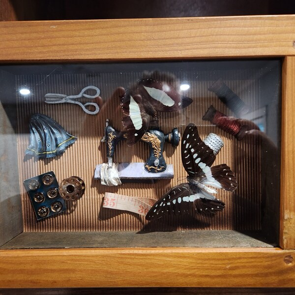 Framed Butterfly, Butterfly Wall Art, Shadow Box Butterflies, Pinned ...