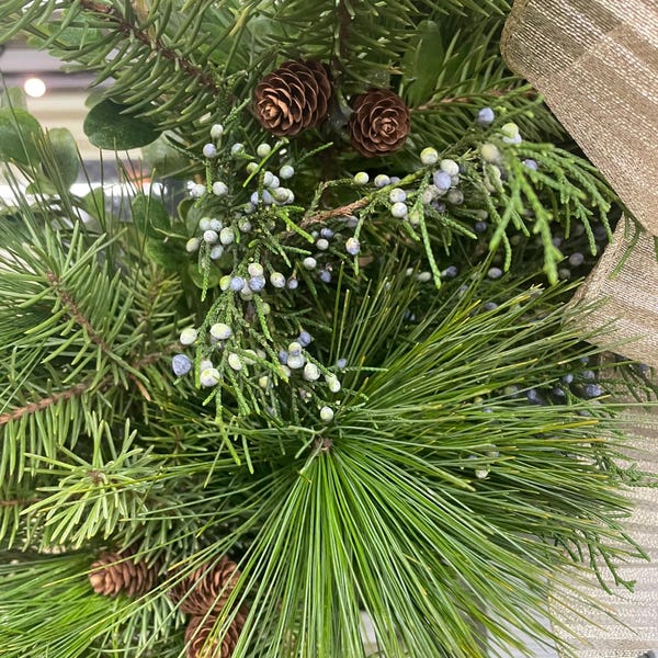 Fresh Cut Pine Branches: Eastern White or Virginia Pine, Holiday Decor ...