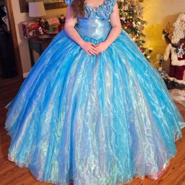 Brandy Cinderella Costume in Blue Verison - Cinderella Dress ...