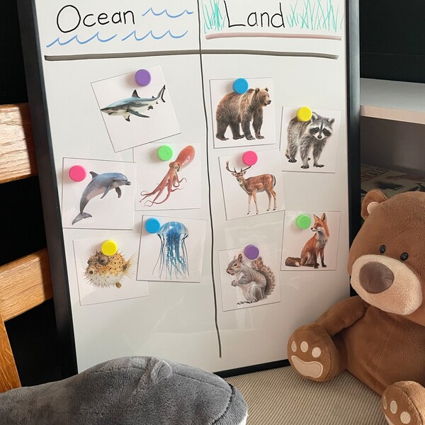 24 Endangered Animals Montessori Flashcards With Fun Facts: Educational ...