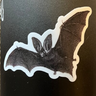 Bat Sticker / Bumper Sticker / Vinyl Sticker / Vintage Image / Phone ...