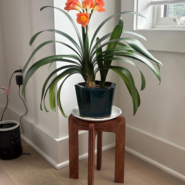 4 Inch Tall Wooden Indoor Plant Stand - Riser - Etsy