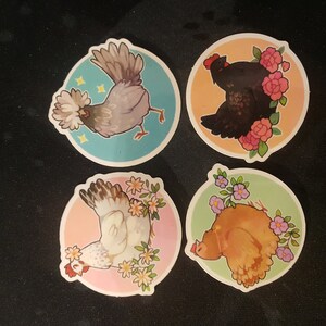 Floral Chicken Sticker Set - Etsy