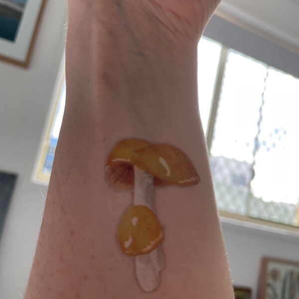 Mushroom & Toadstool Temporary Tattoos | Temporary Tattoo Set | British ...