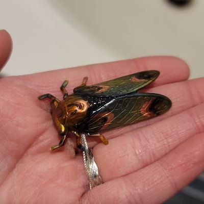 Cicada Pin Copper Cicada Brooch Brood X Cicada Jewelry Brood X Pin ...