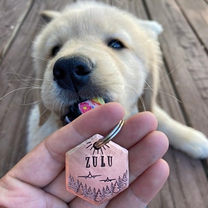 Dog Tag Sun Tag Dog Tags for Dogs Personalized Dog Tag Pet - Etsy