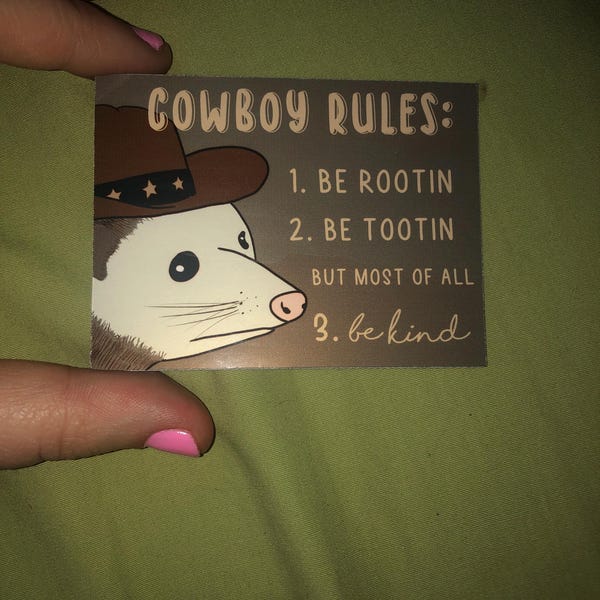 Cowboy Possum, Cowboy Rules Glossy Sticker - Etsy