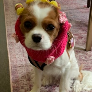 Baby Yoda Snood Cavalier Spaniel Snood Cocker English Toy | Etsy