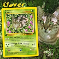 Custom Pokémon Card From PHOTO - Etsy