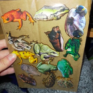 A Collection of 20 Swiss Family Shields | Etsy