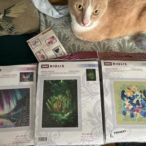 RIOLIS Counted Cross Stitch Kit 2218 Ginger Observer, Embroidery Kit With an Orange Cat Watching ...